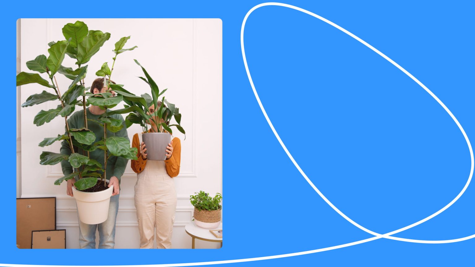 How to Pack Plants for Moving | Moving Guide